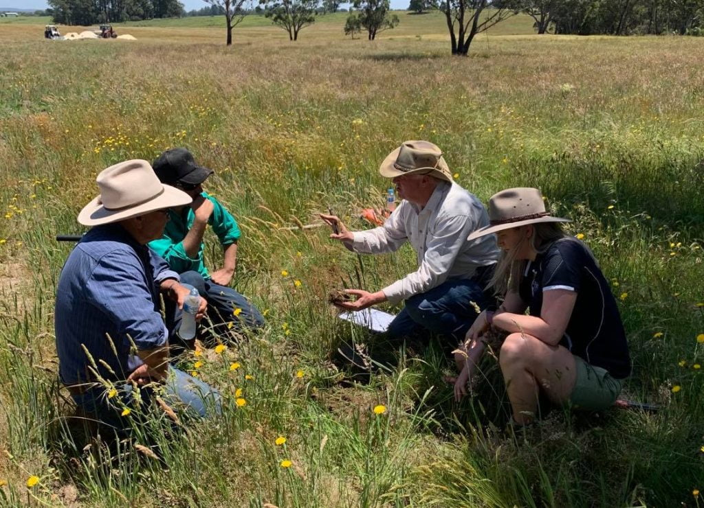 Transition – what is it and where to start? – Re-Gen farming