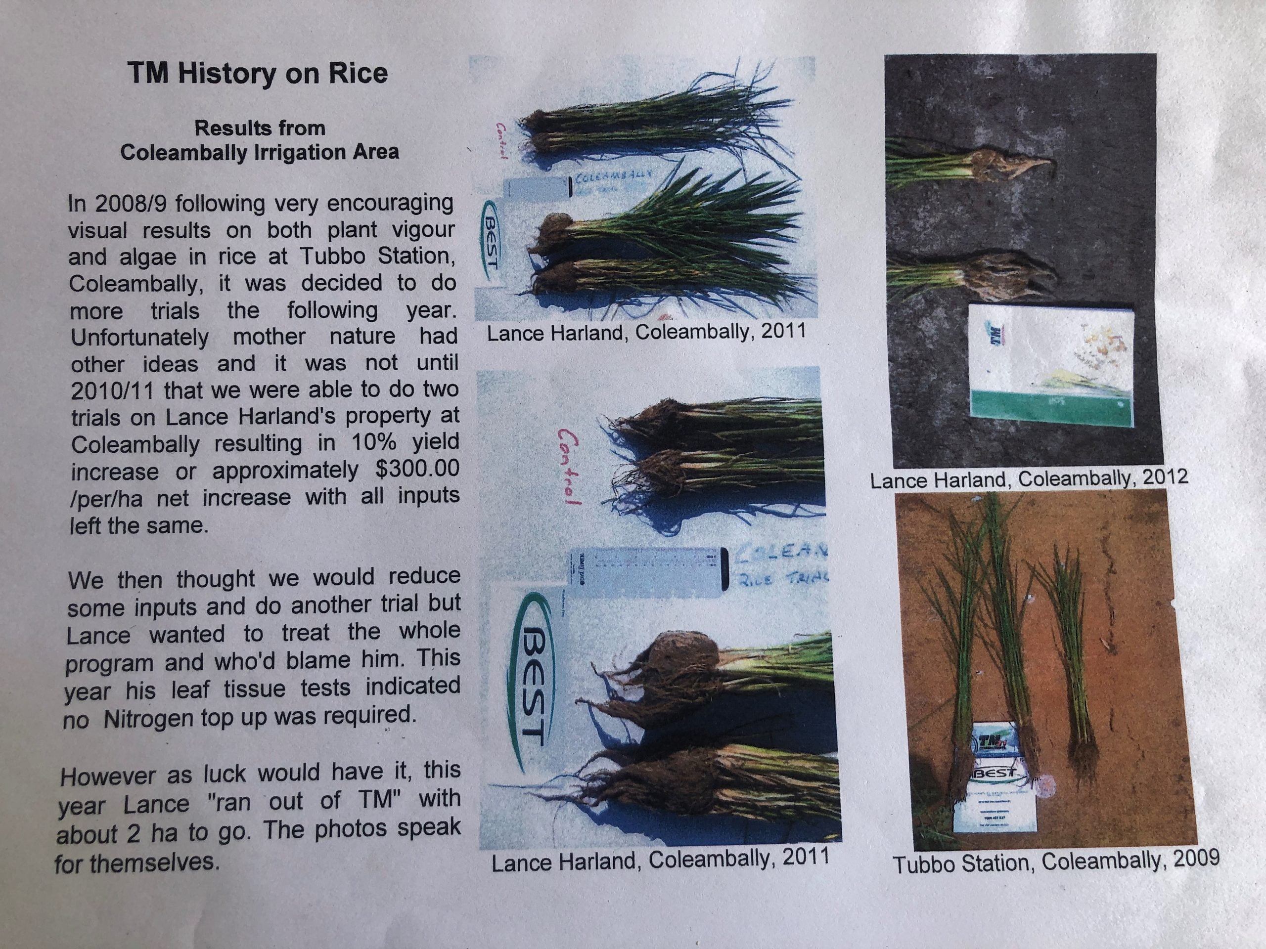 Rice - Re-Gen farming