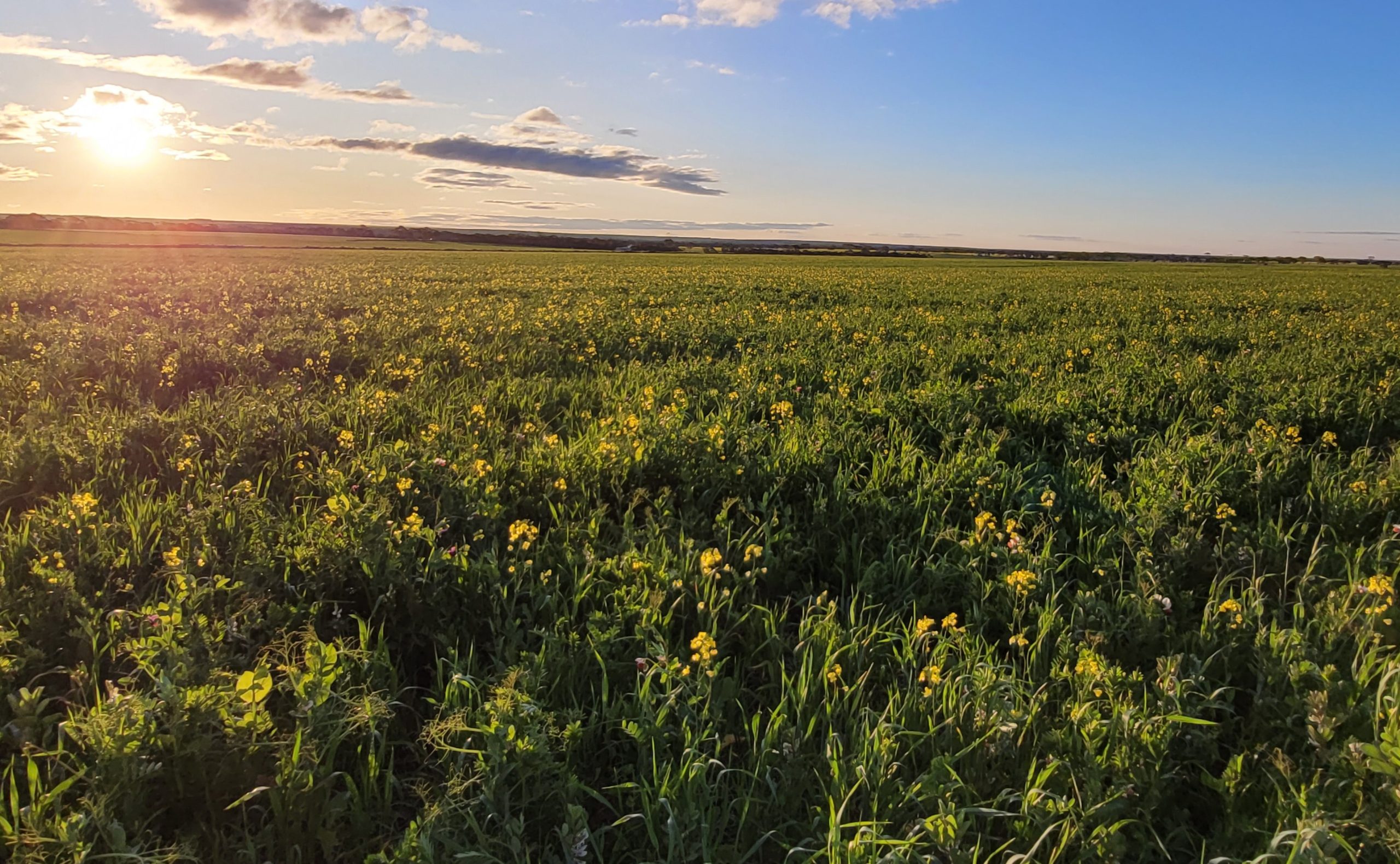 Take Control of Your Farm Profitability with Consultation: Strategies ...