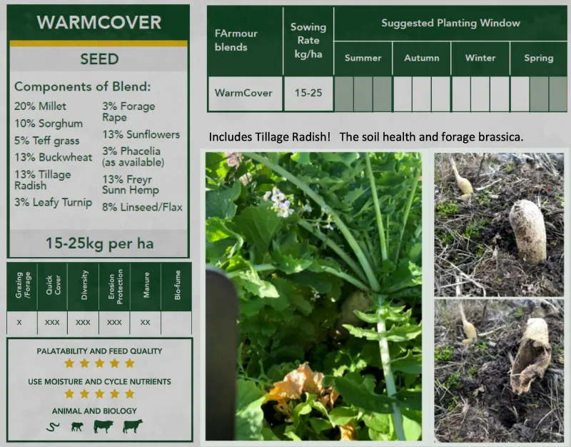 WarmCover: Warm Season Cover Crop Mix for Optimal Soil Health and Livestock Nutrition - Re-Gen ...